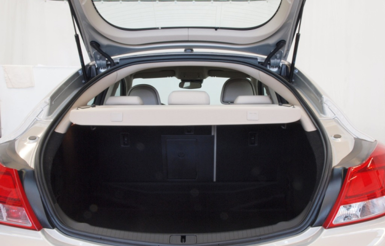 insignia trunk